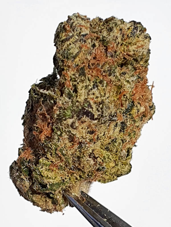 Pineapple Chunk - Staff Selects Guide