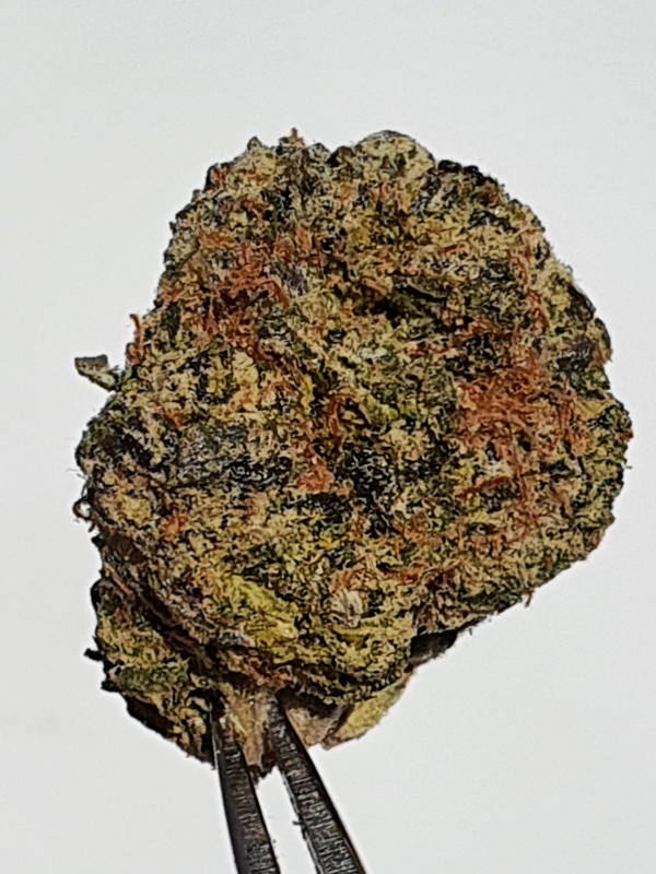 Pineapple Chunk - Staff Selects Guide